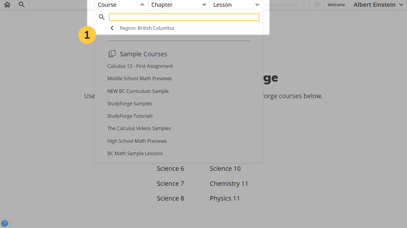 How do I log into StudyForge directly?